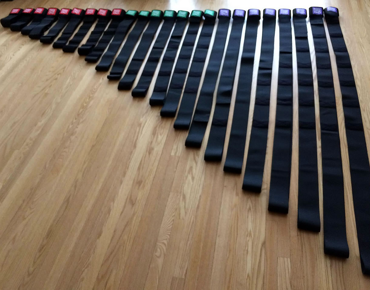 Body Loop Preview - The Body Loop